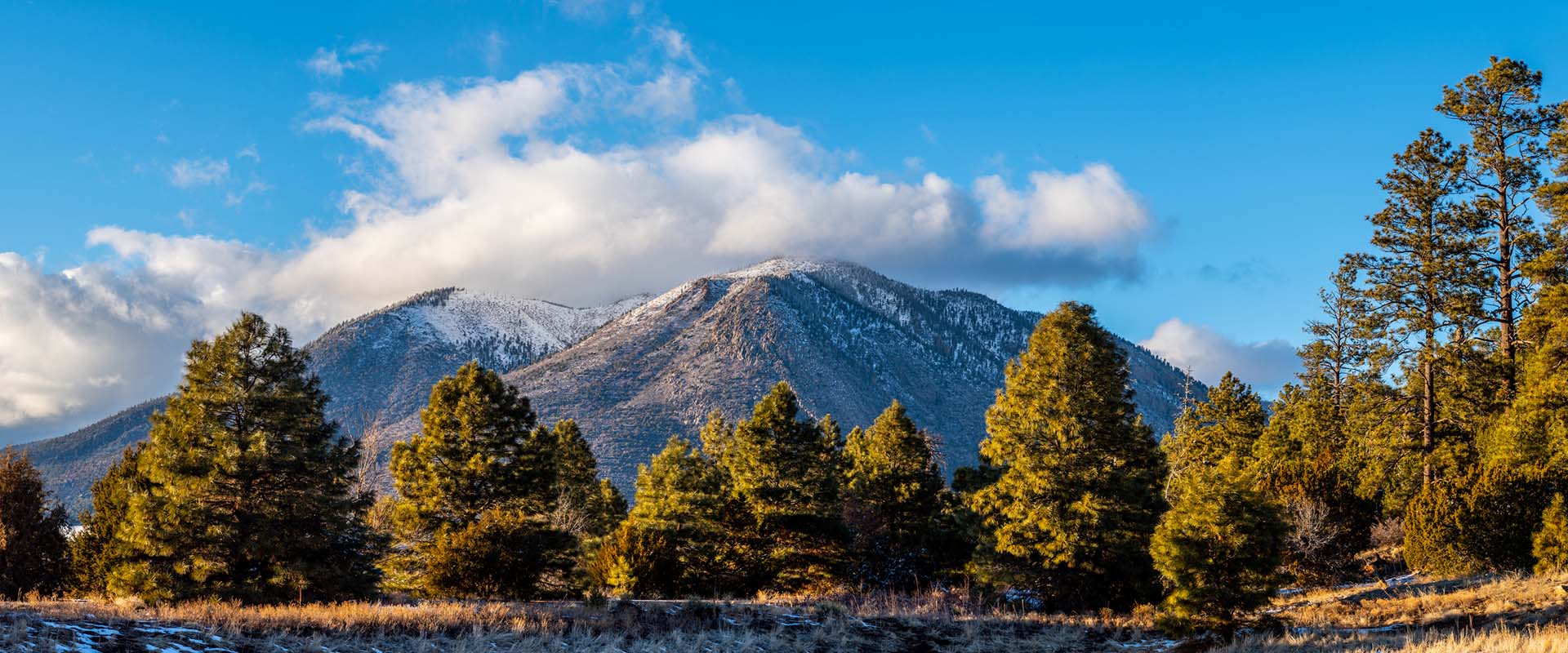 Timber Sky | New Homes In Flagstaff, AZ By Capstone Homes
